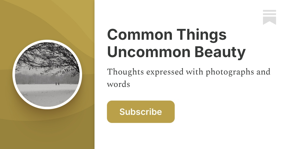 Mantra - by Arthur Gibson - Common Things Uncommon Beauty