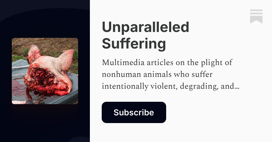 About - Unparalleled Suffering’s Opinions