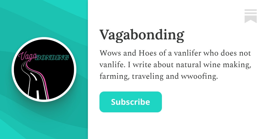 Vagabonding | Pauline | Substack