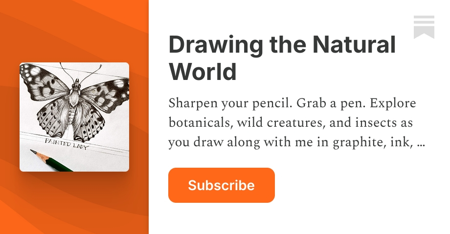 Drawing the Natural World | Val Webb | Substack