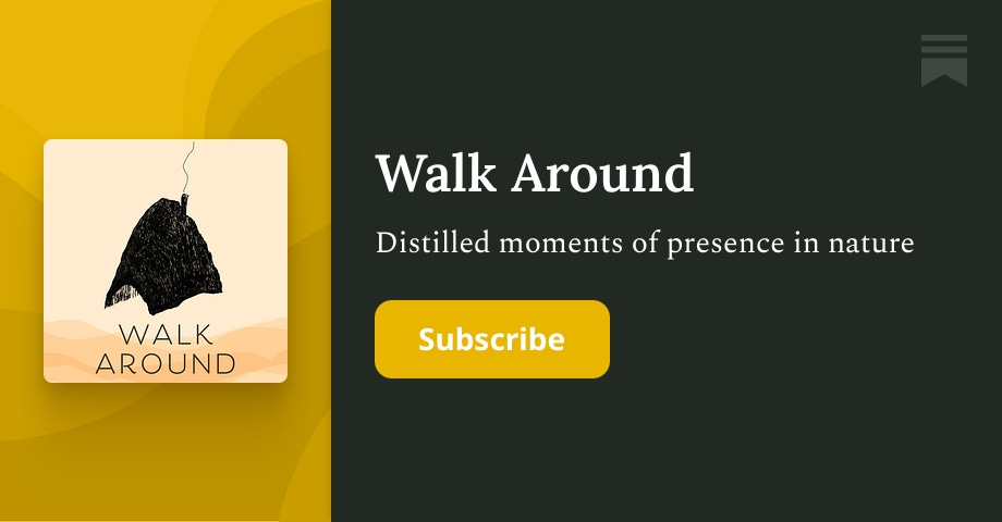 Walk Around | Hudson Gardner | Substack