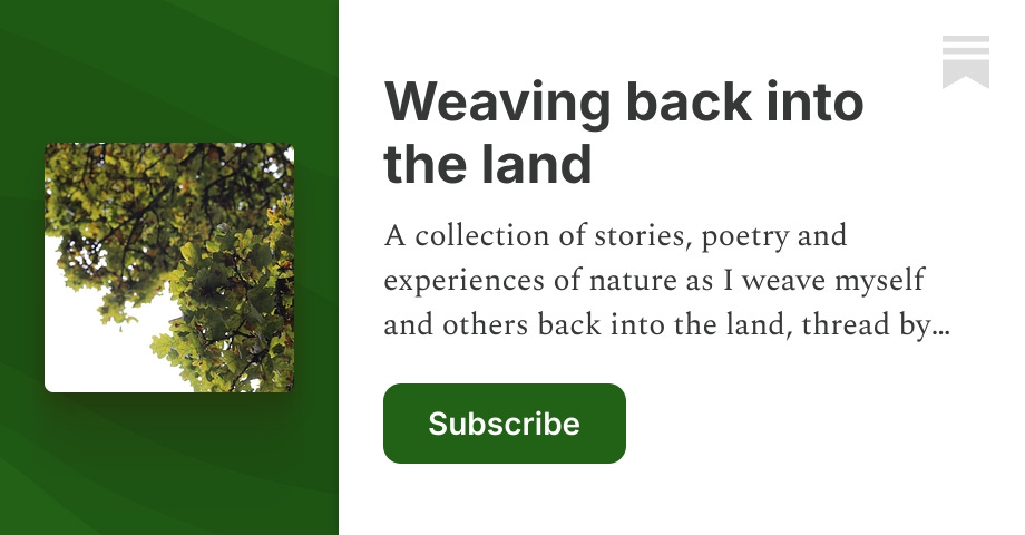 Weaving back into the land | Sam Devine-Turner | Substack