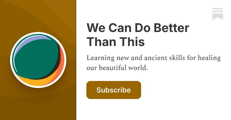 We Can Do Better Than This | Rowan Brewer-Dudek | Substack