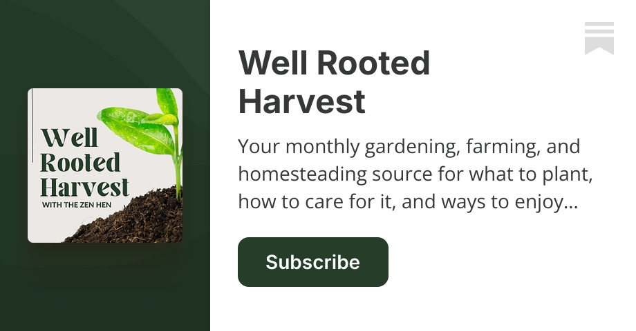 Well Rooted Harvest | Bree Graber | Substack