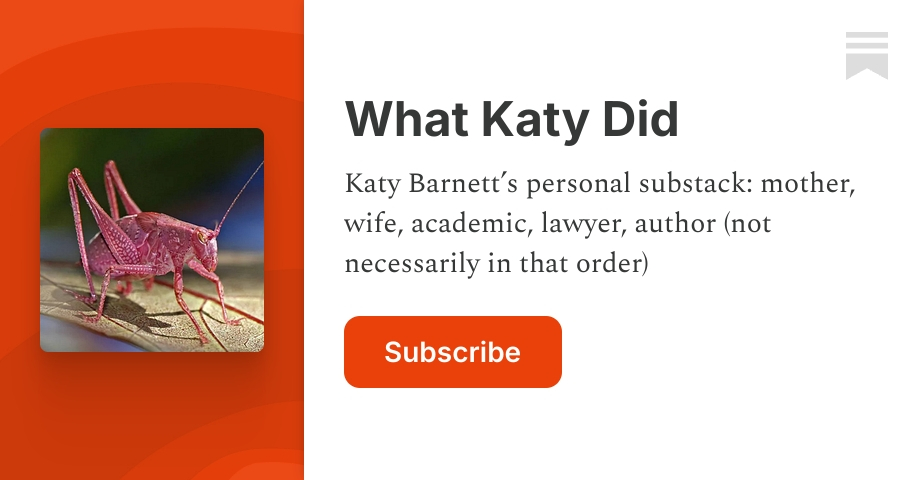 What Katy Did Next - by Katy Barnett - What Katy Did