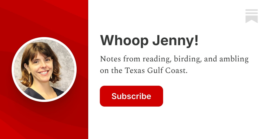 Whoop Jenny! | Jenny Dudley | Substack
