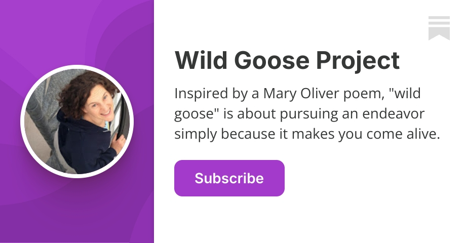 Background on the Wild Goose Project - by Nurit Bloom