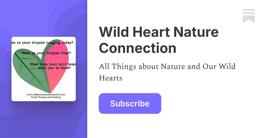 Wild Heart Nature Connection | Substack