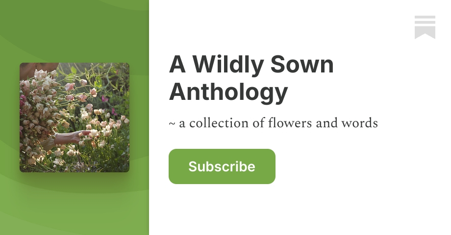 A Wildly Sown Anthology | Lisa Barrett | Substack