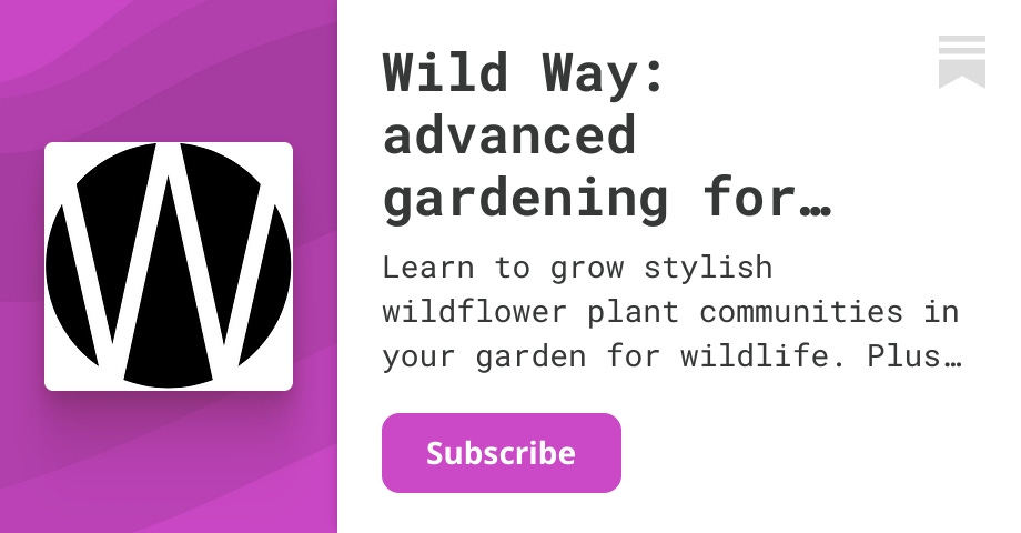 WILD WAY | Jack Wallington | Substack