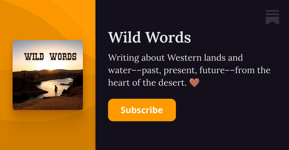 Wild Words | Morgan Sjogren | Substack