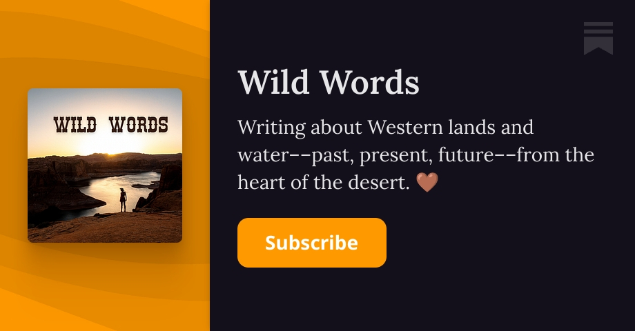 Wild Words | Morgan Sjogren | Substack