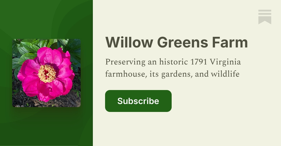 Willow Greens Farm | Laura Lindsay | Substack