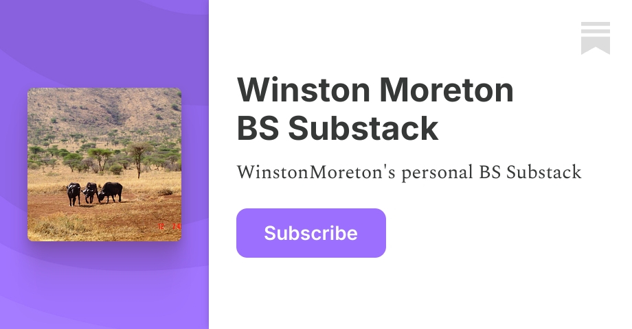 Space Nonsense - Winston Moreton BS Substack
