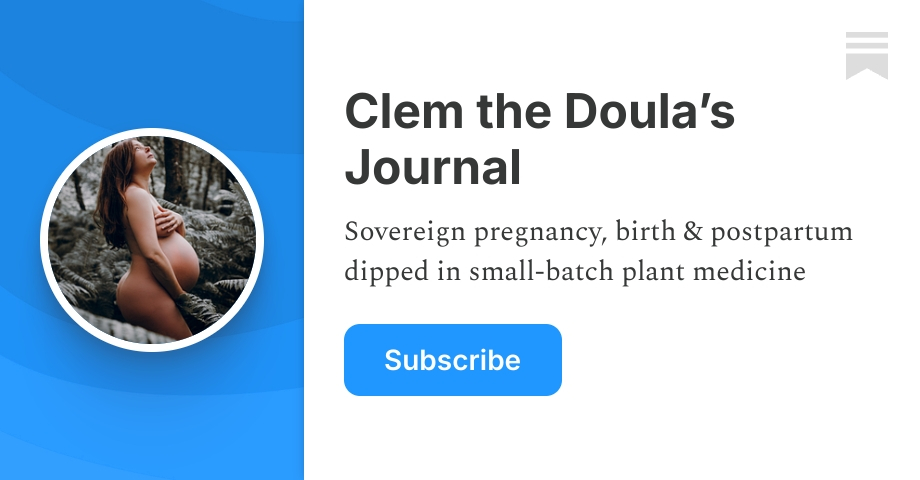 Clem the Doula’s Journal | Clemence Cocquet | Substack