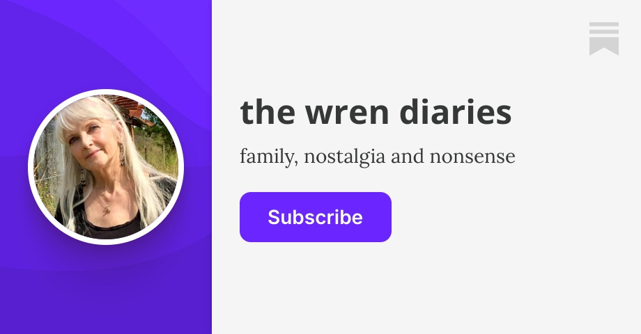 the wren diaries | Wren Walker Jung | Substack