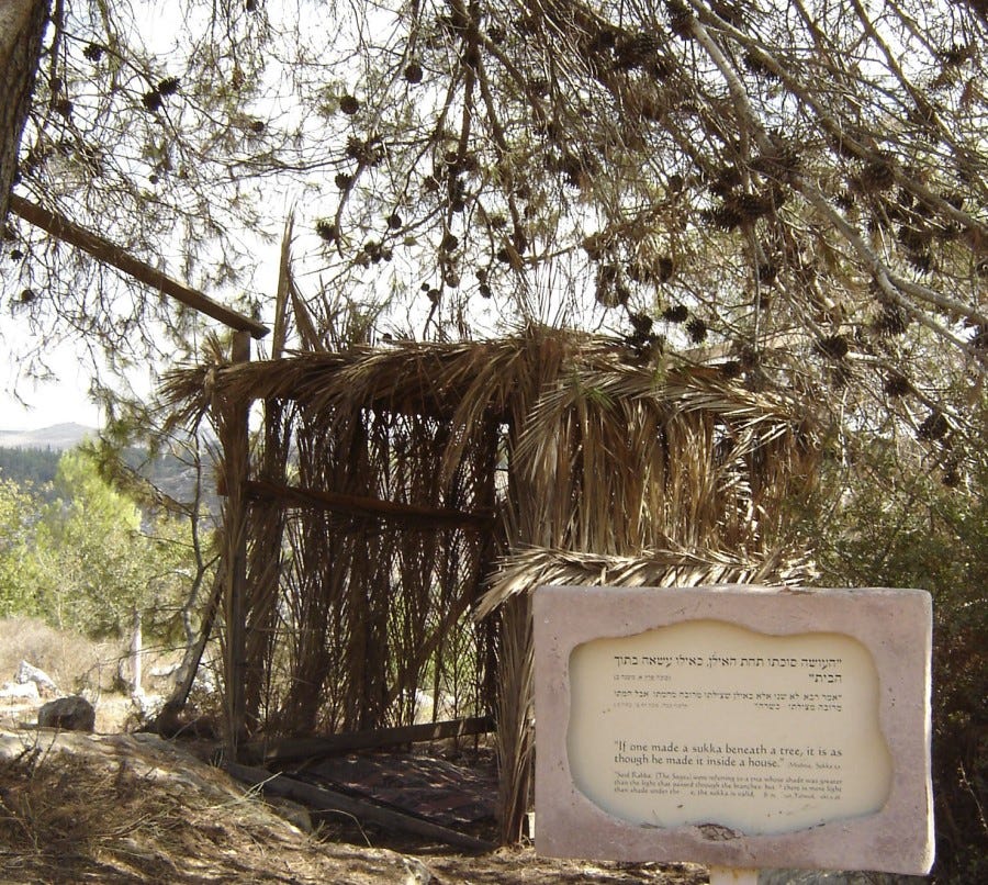 A View from the Sukkah
