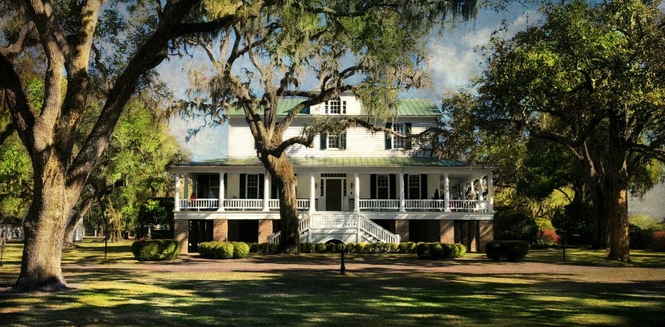 Chicora Wood Revisited - by Beth Yarbrough - Southern Voice