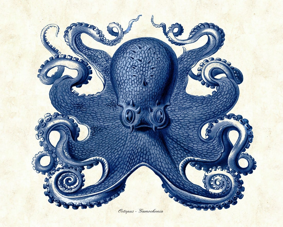 Parking Lot Obscenities - by Isabel Cowles Murphy