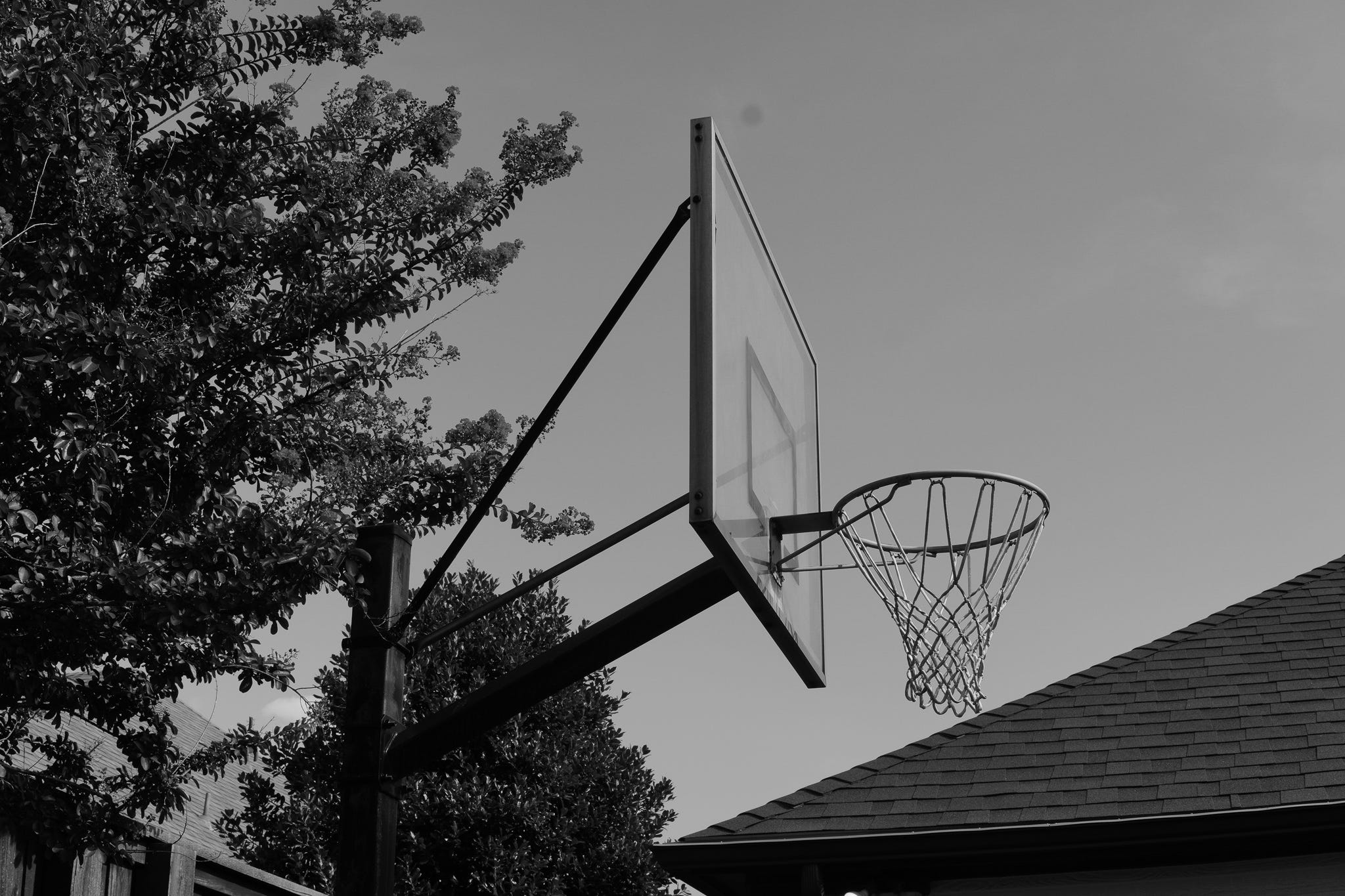 Hoops 2 By Mose Kane Wisecracker Workshop