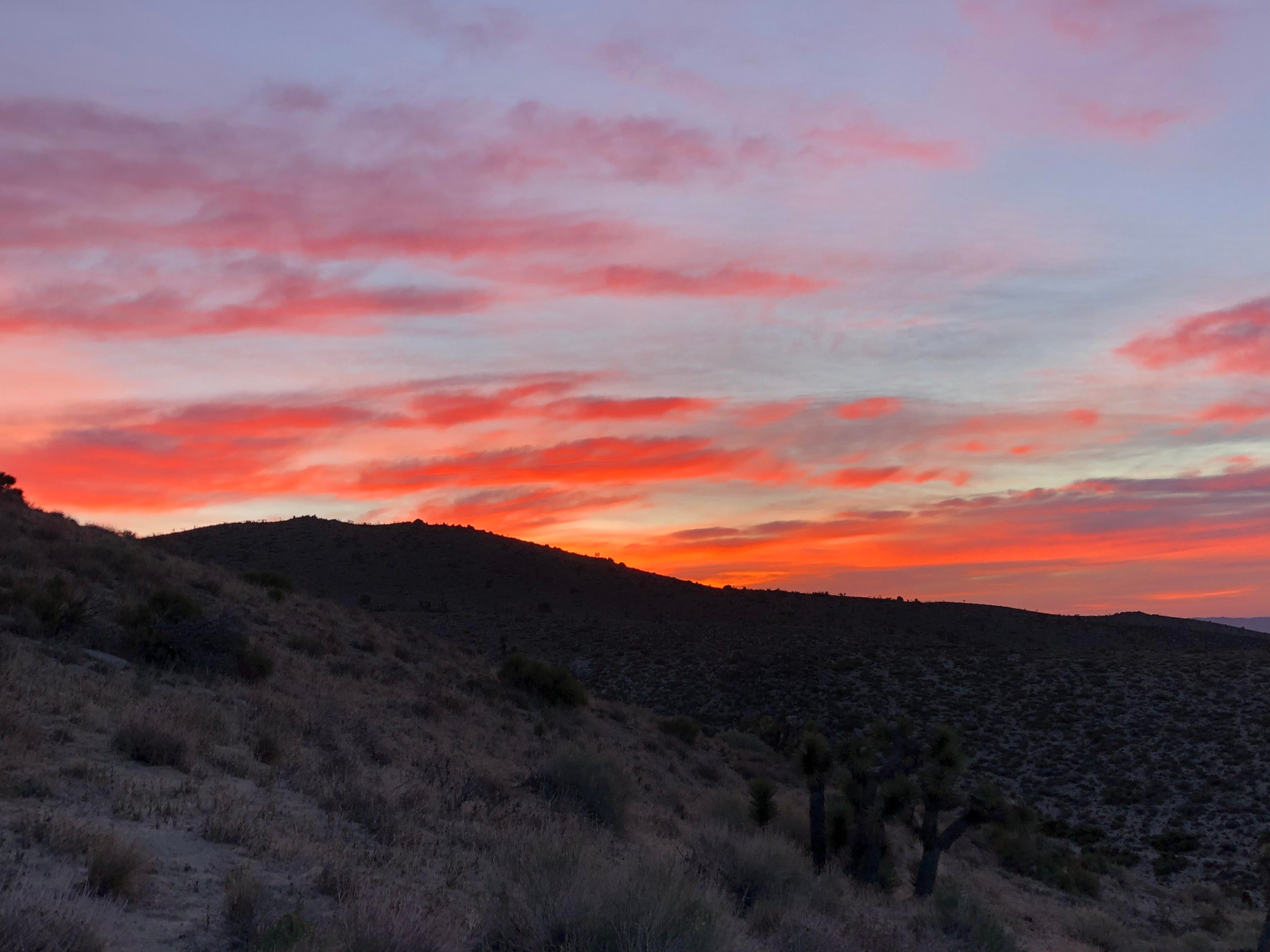 Here We Go..... - by Michael Quillin