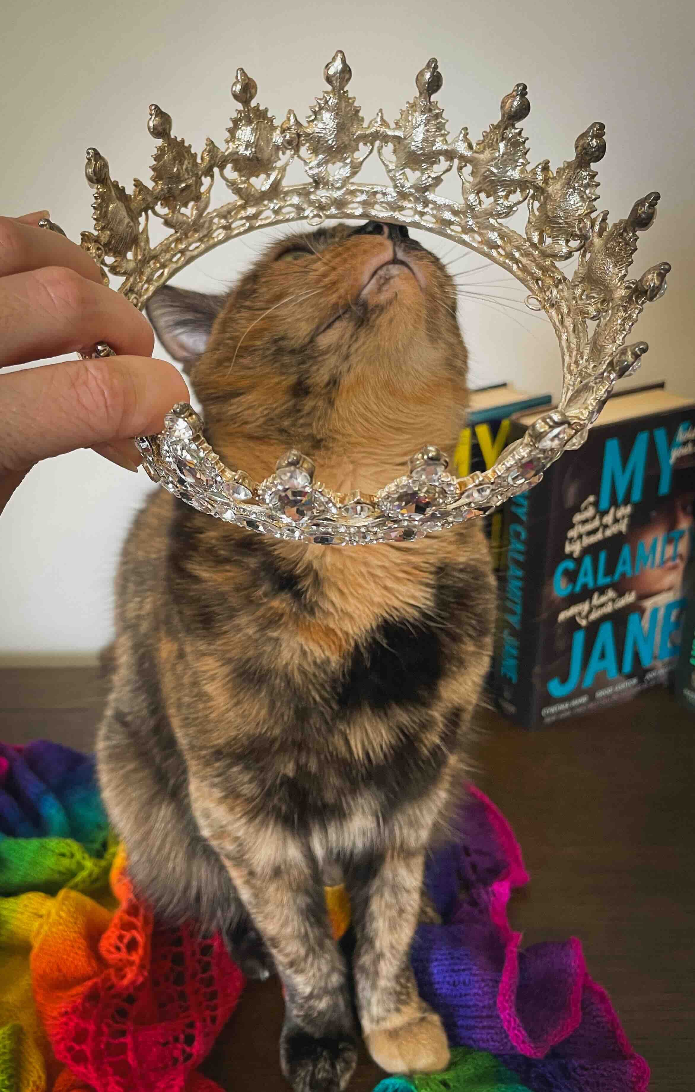 In which my brain becomes a stomach - by Jodi Meadows