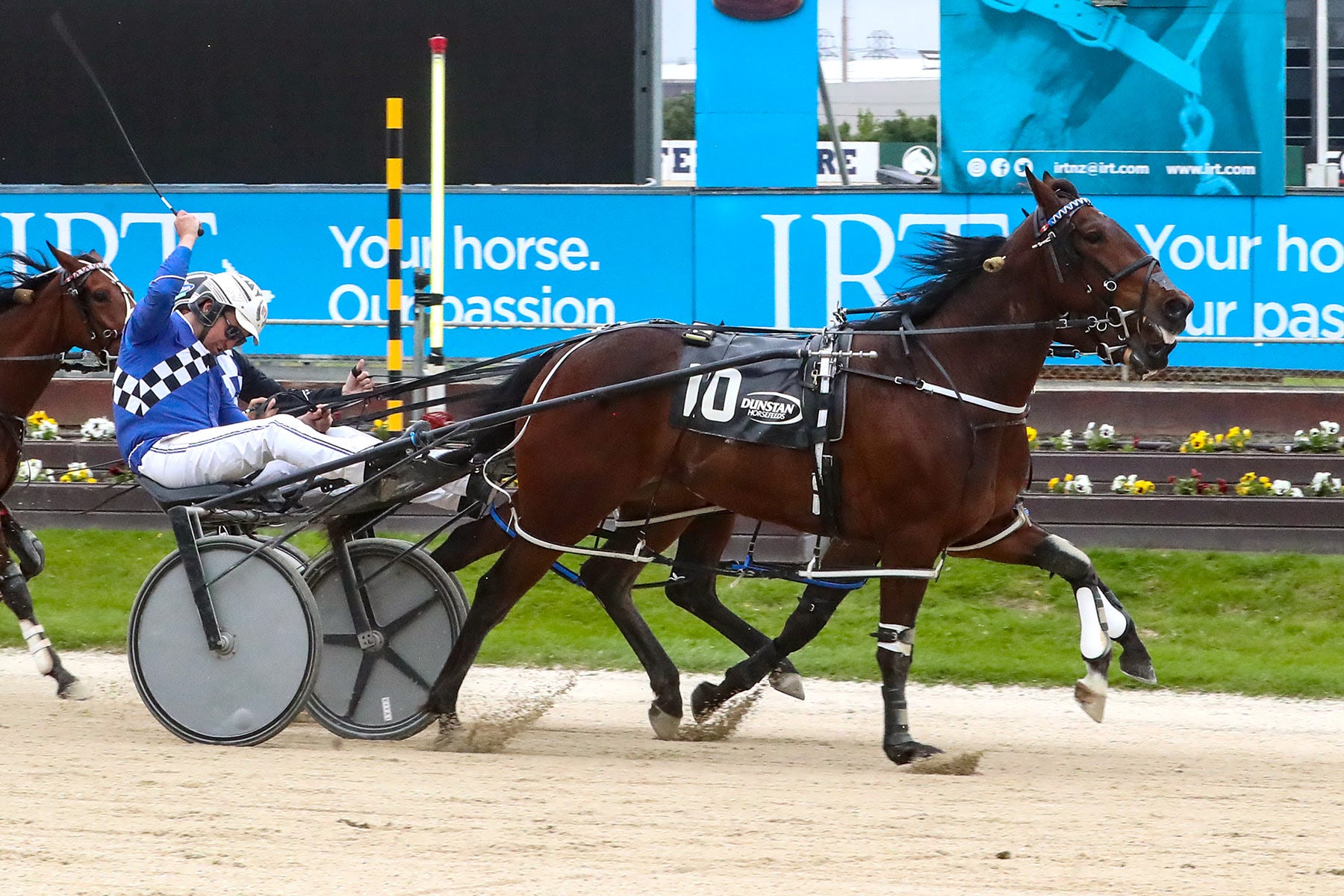 Nathan Williamson's salute to his family