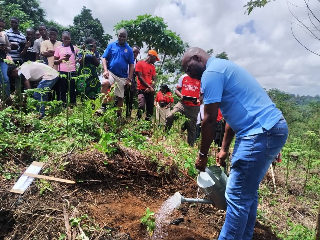 Organizations Plant 3,000 Trees to Restore Mulunguzi Dam Catchment in Zomba