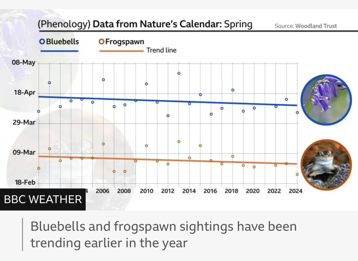 Not a False Spring, Just Spring - by Stuart Bourne