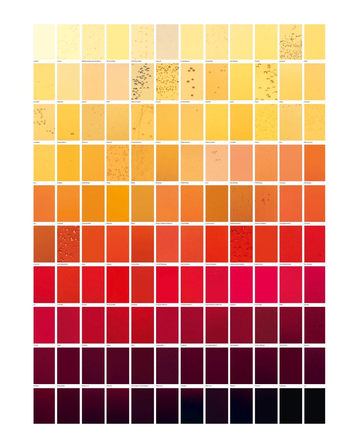 Why choose wine by its color? - by Victor coutard