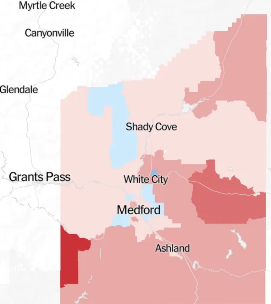 An extremely detailed map of the 2024 election