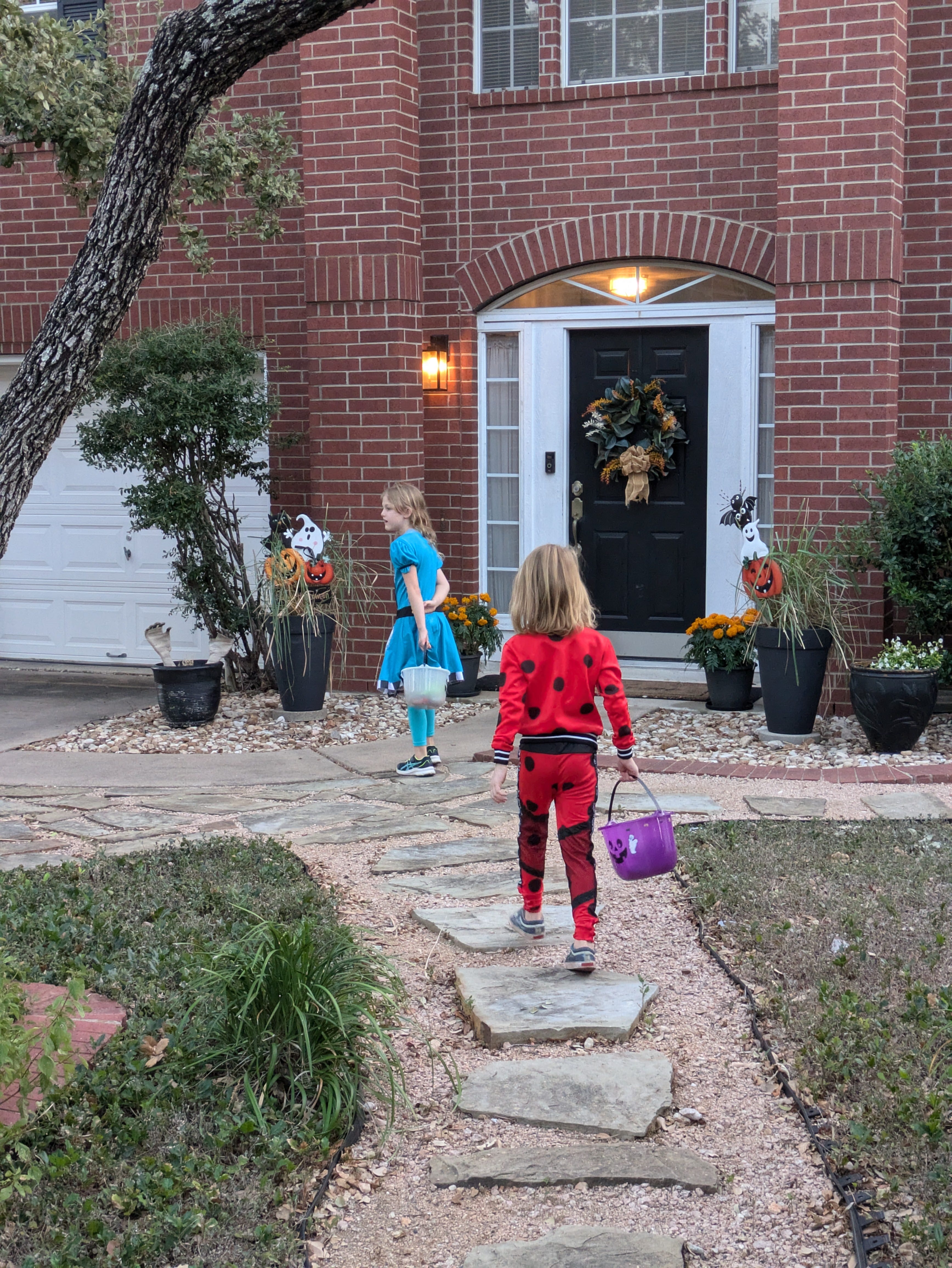 Zelenina - Michaela’s Substack