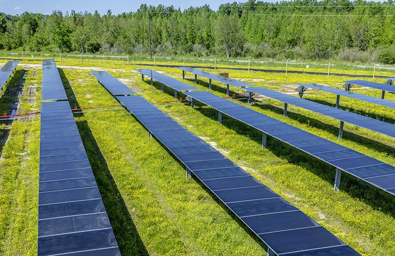 Your Daily Dose of Climate Hope: May 10, 2025