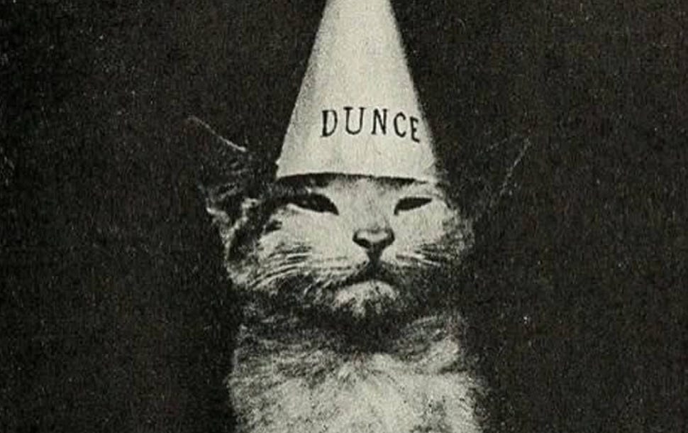 How Stupid Are We? - Lucien Greaves on Substack