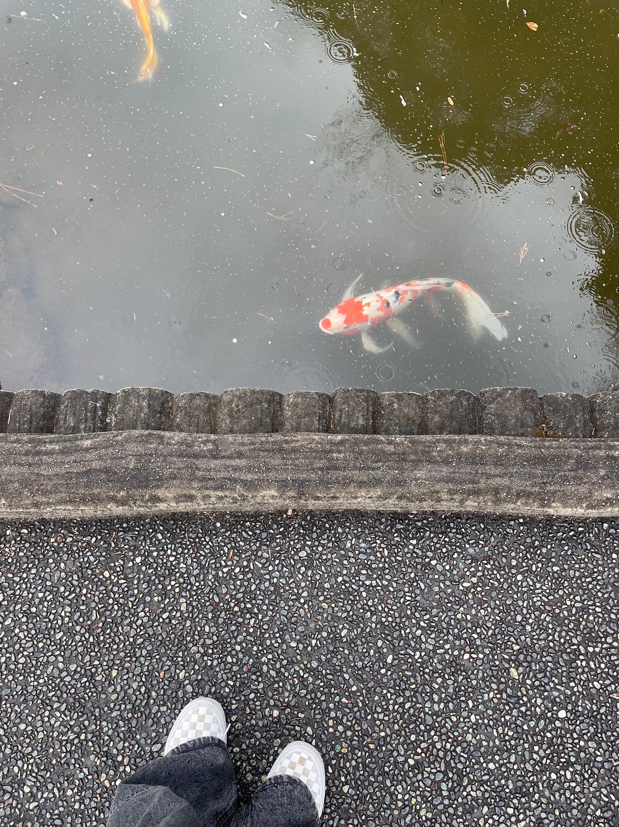 Coda - by Angela Petrone - Near and Far