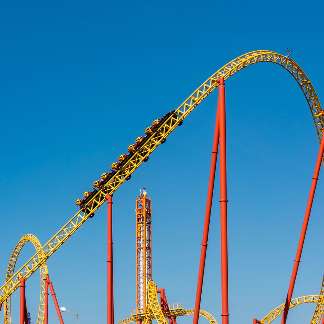 Roller Coaster - by Karen Joy Brown - Karen’s Substack