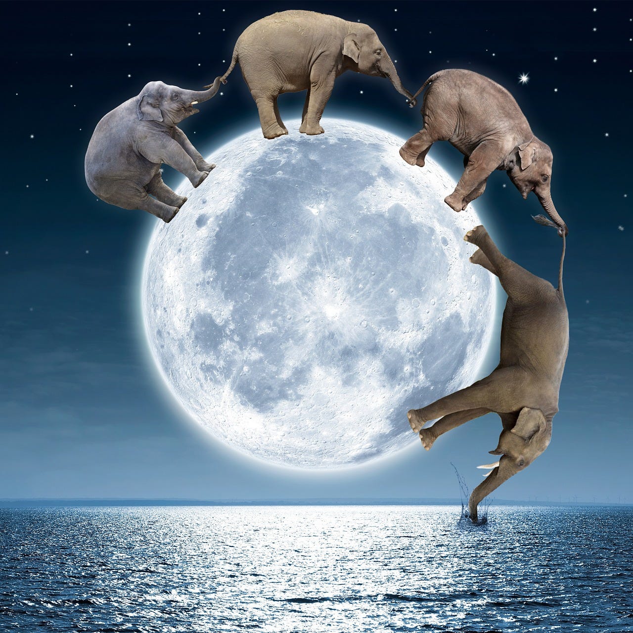 Wow, my house is insured against an elephant falling out of a plane or ...