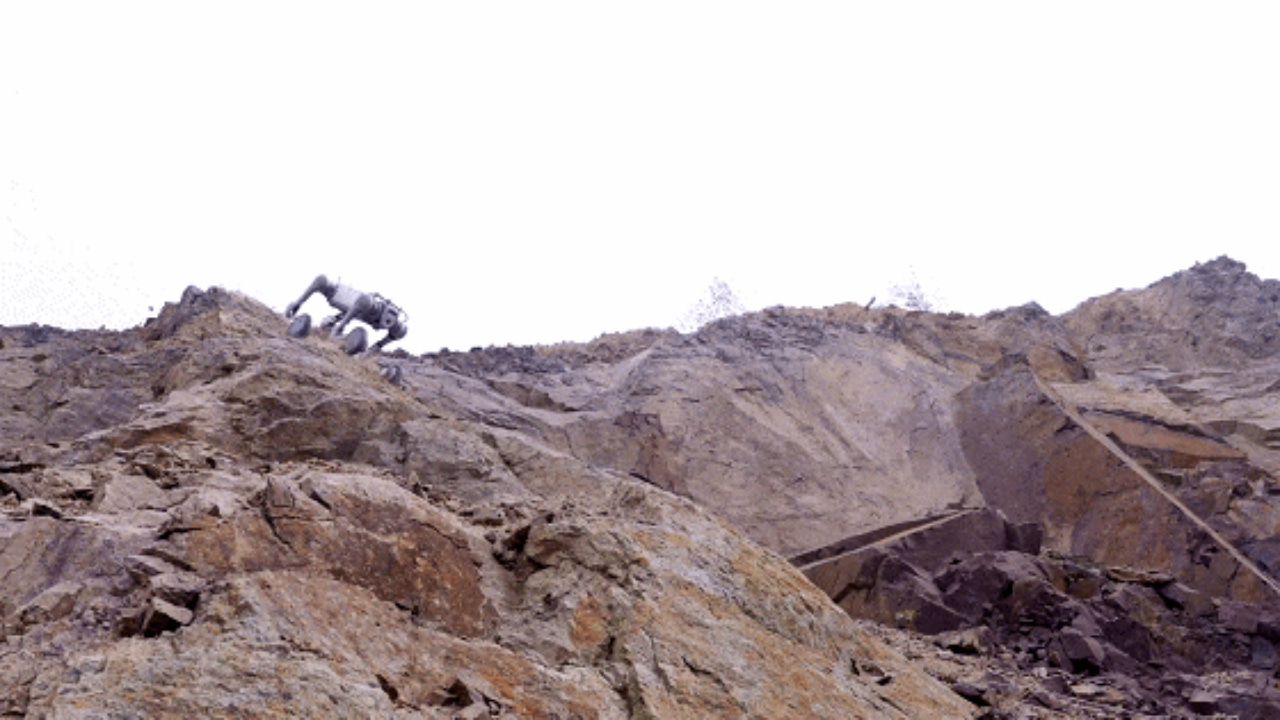 China's Latest Robot Dog Changes the Paradigm of Modern Warfare