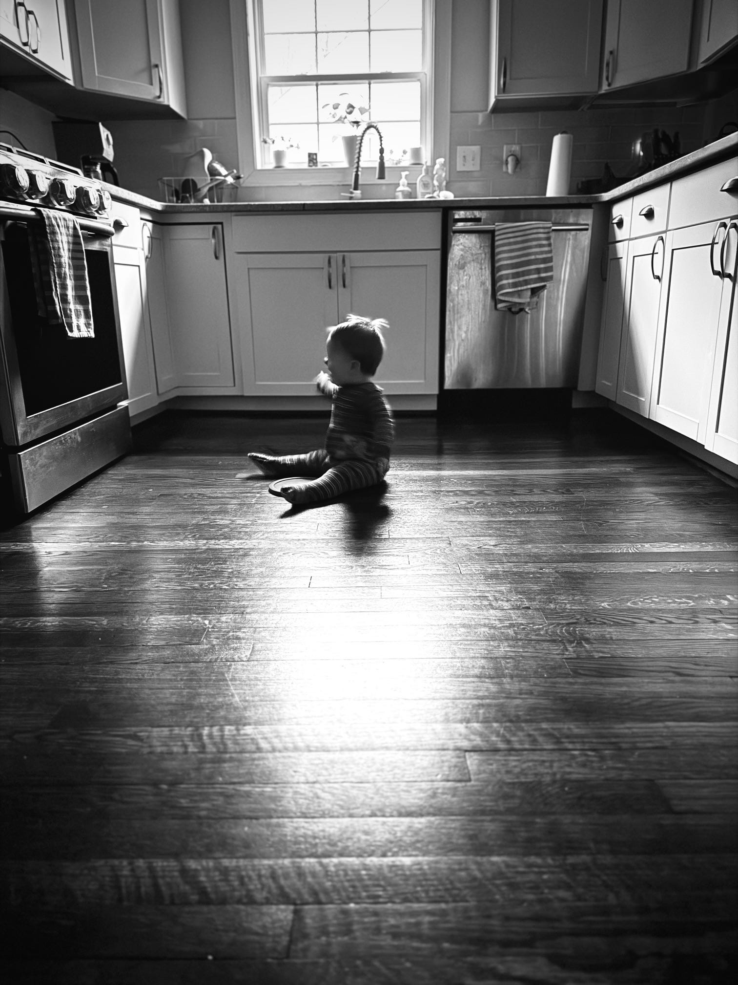 Blueberry waffles - by Megan Hogg - A Continual Feast