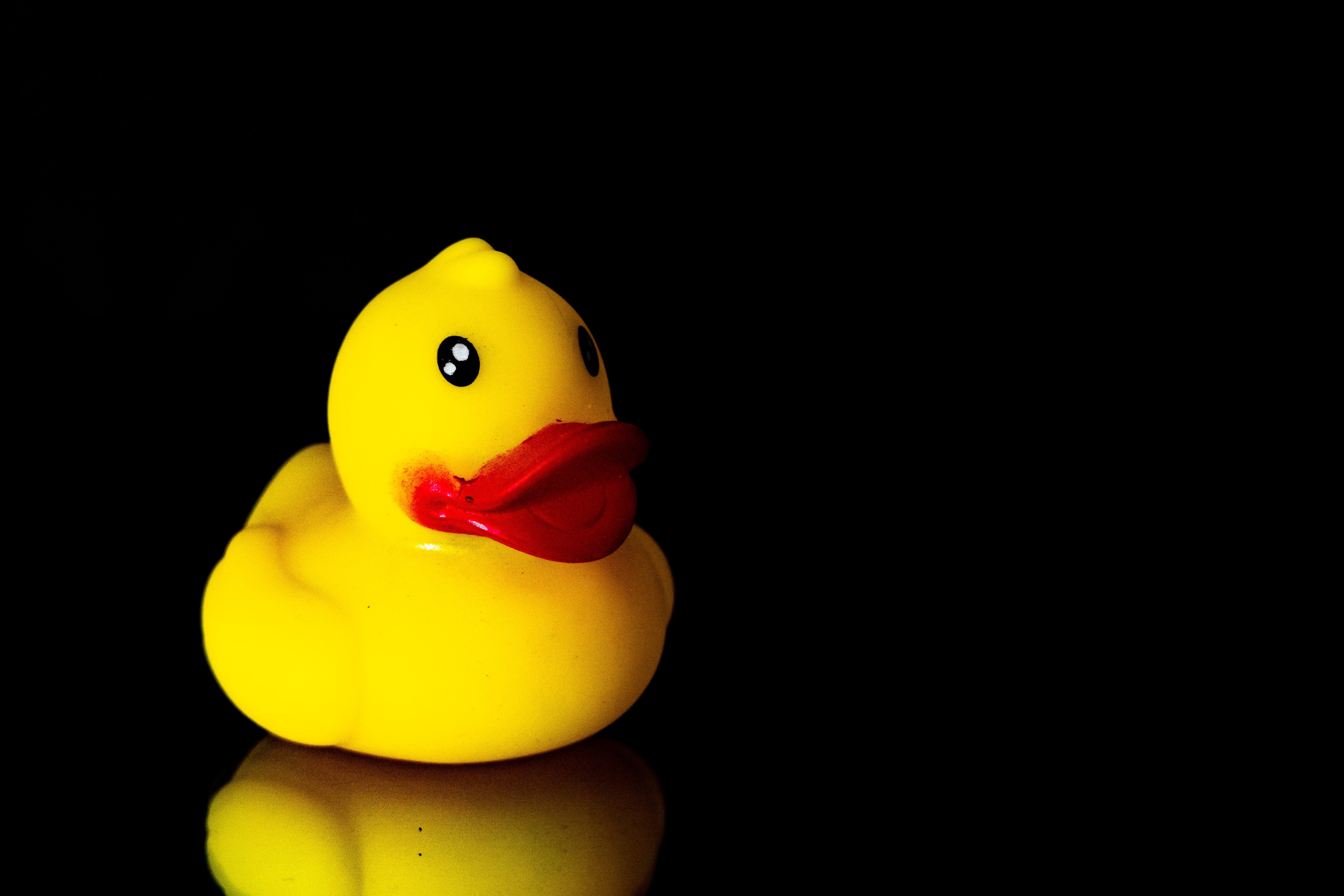 'Breaker 1-9: This Here's the Rubber Duckie'