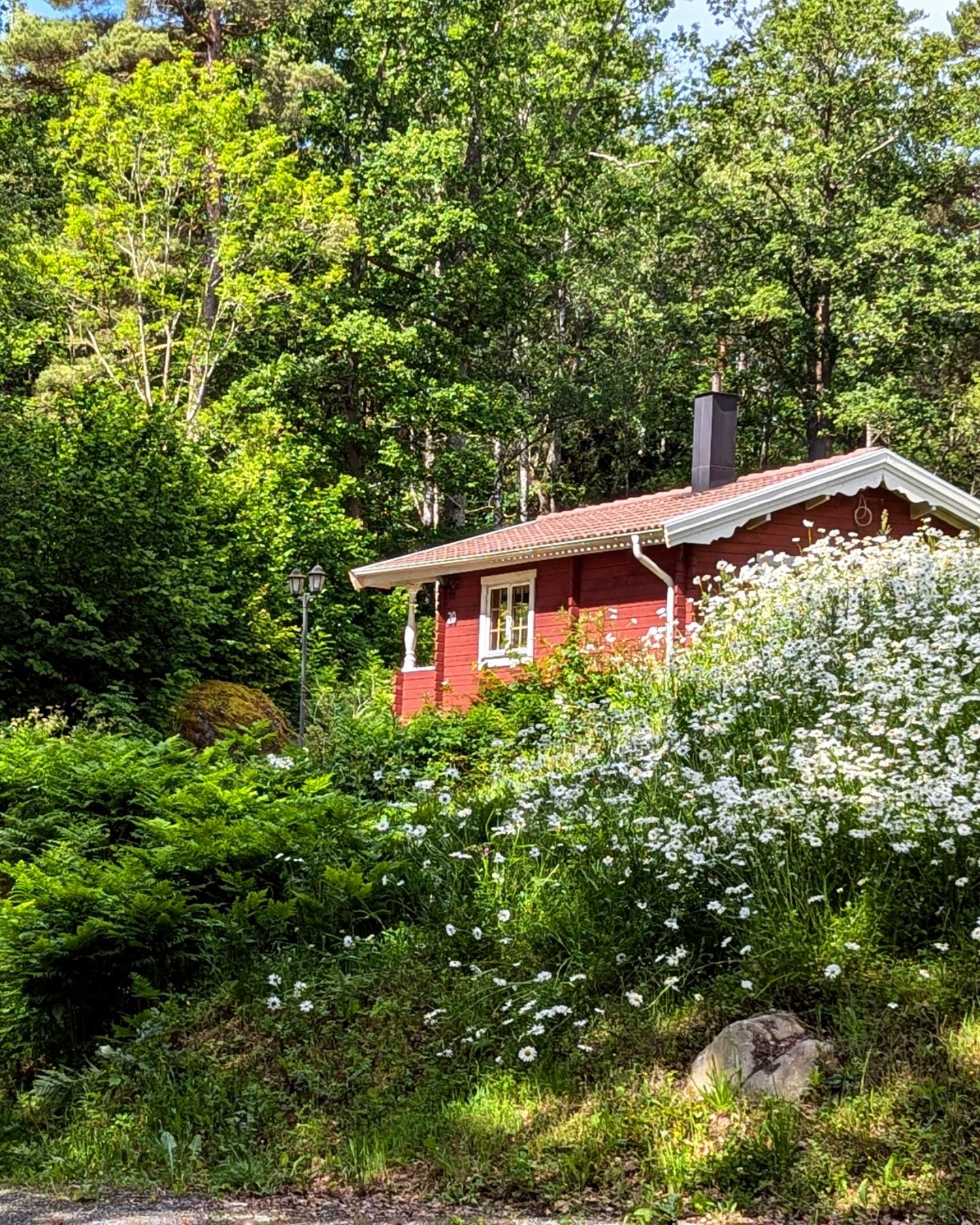 Searching For Smultron - by Autumn Fiore Palm