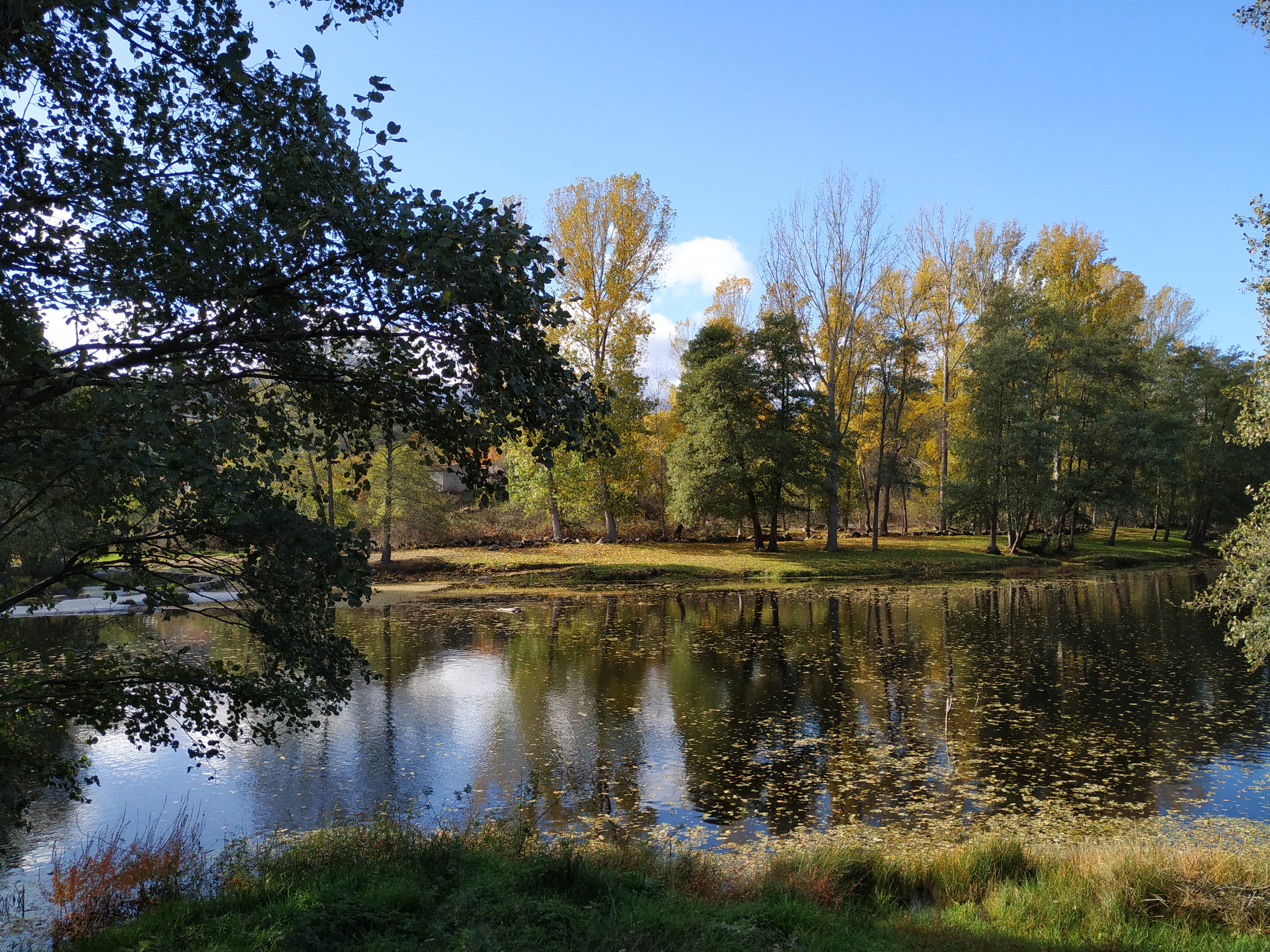 Apegos del ego - by Pilar Serrano - El Substack de Pilar