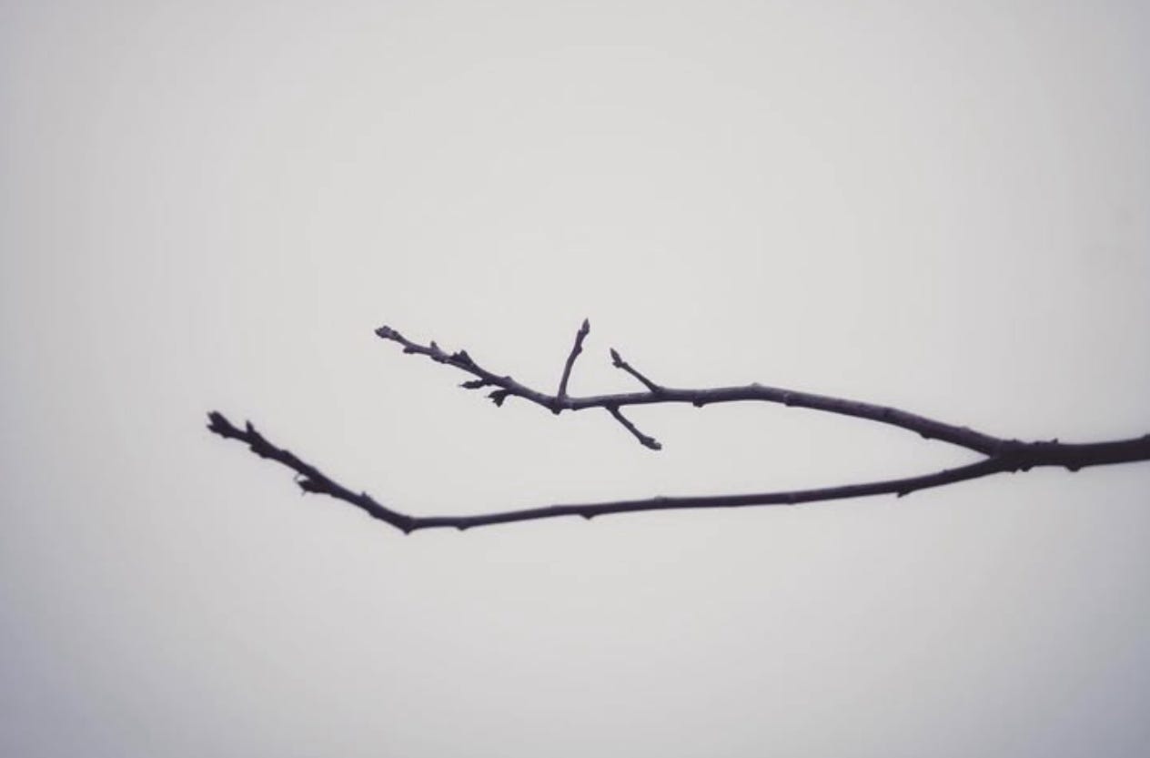 The Space Between Things - Paul David Shea