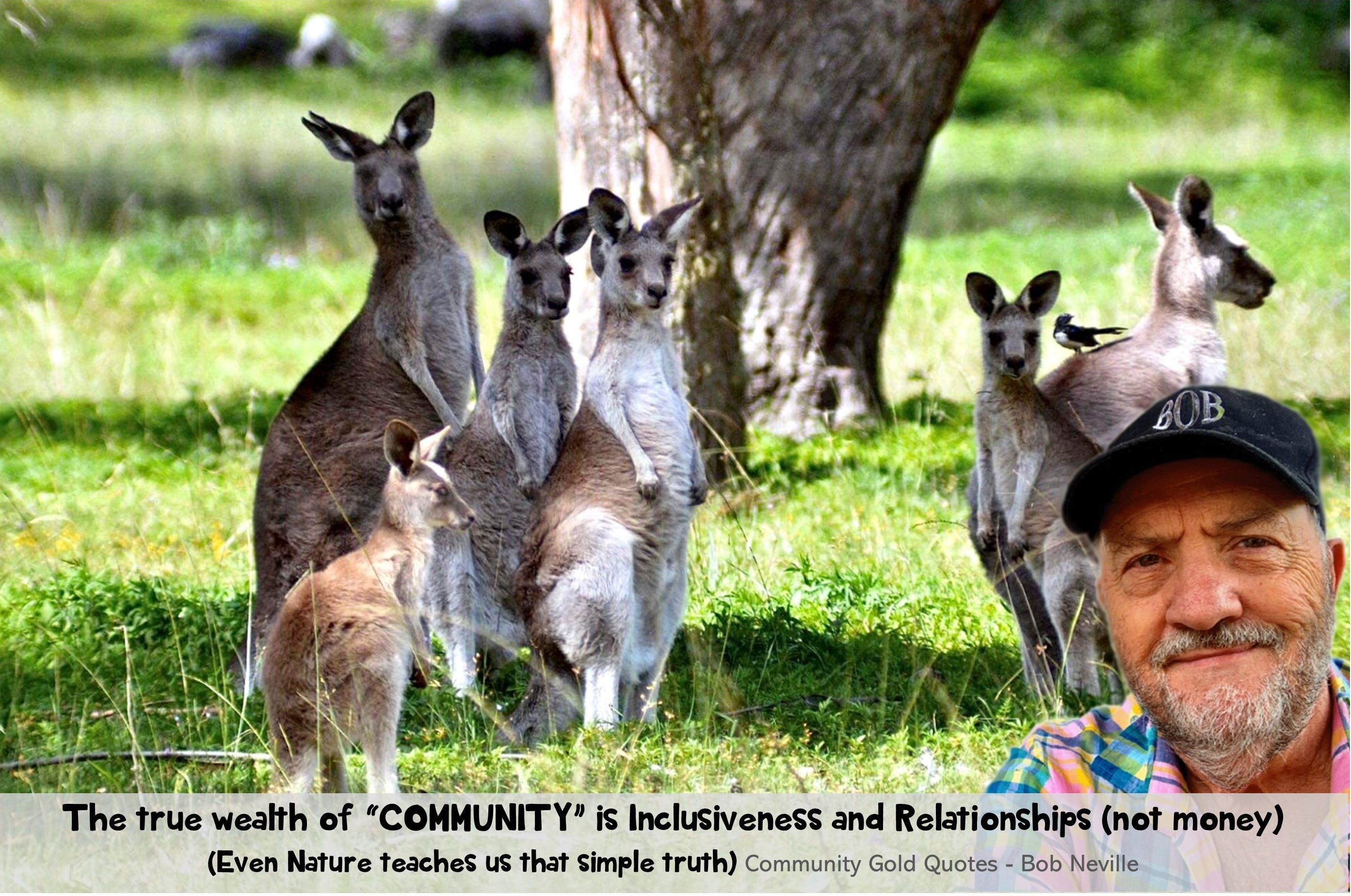 Am I Crazy...? Bob Neville - Biography - by Bob Neville