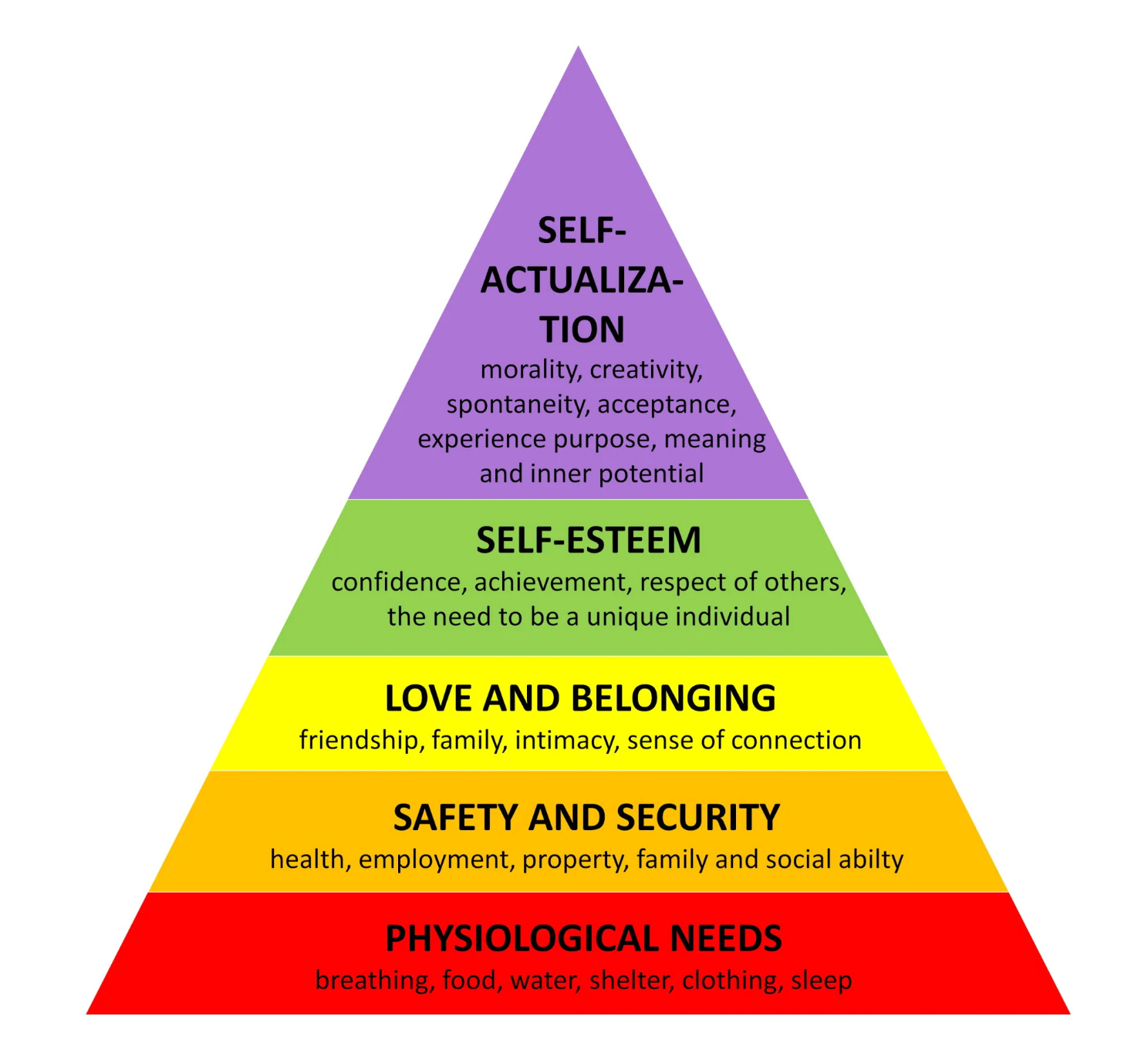The Impracticality of Modern Polygamy - Raz’s Revelations