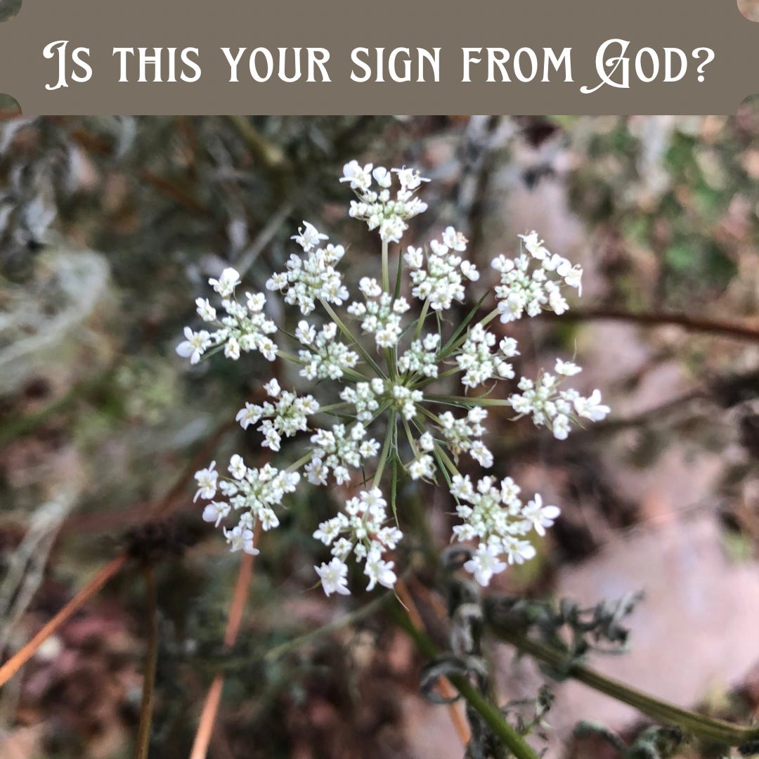 O Father, where art thou? Finding God within.