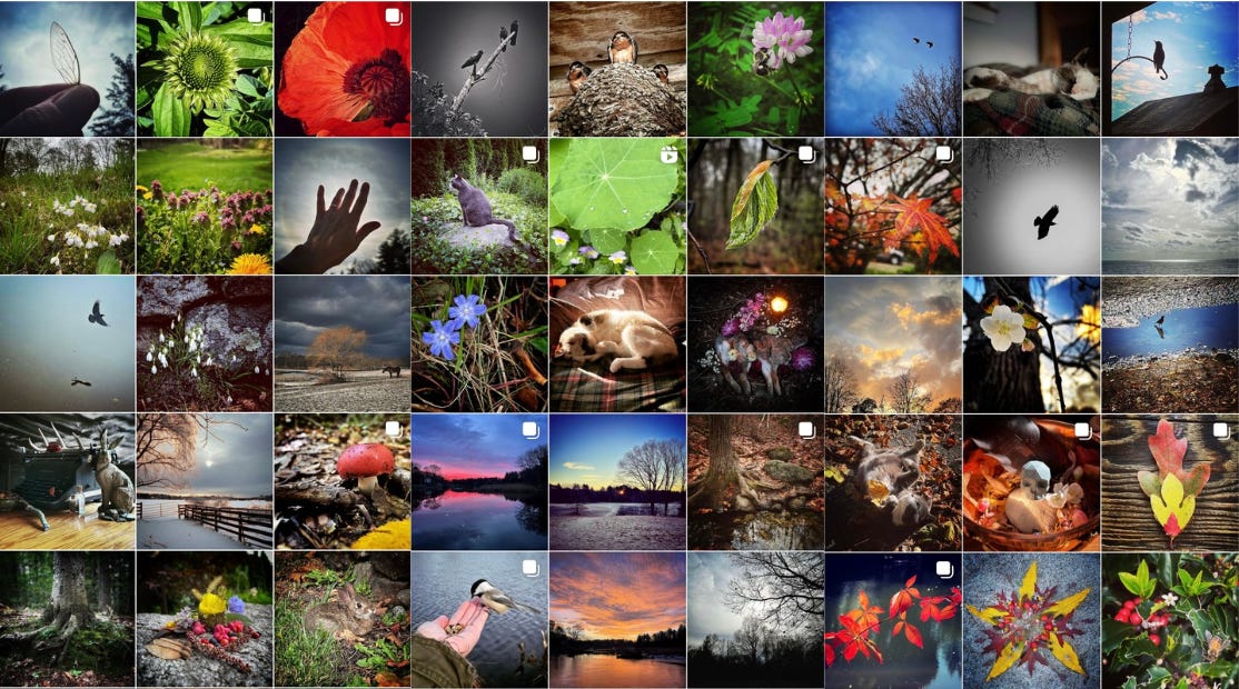 Unearth your memory touchstones - by SuddenlyJamie