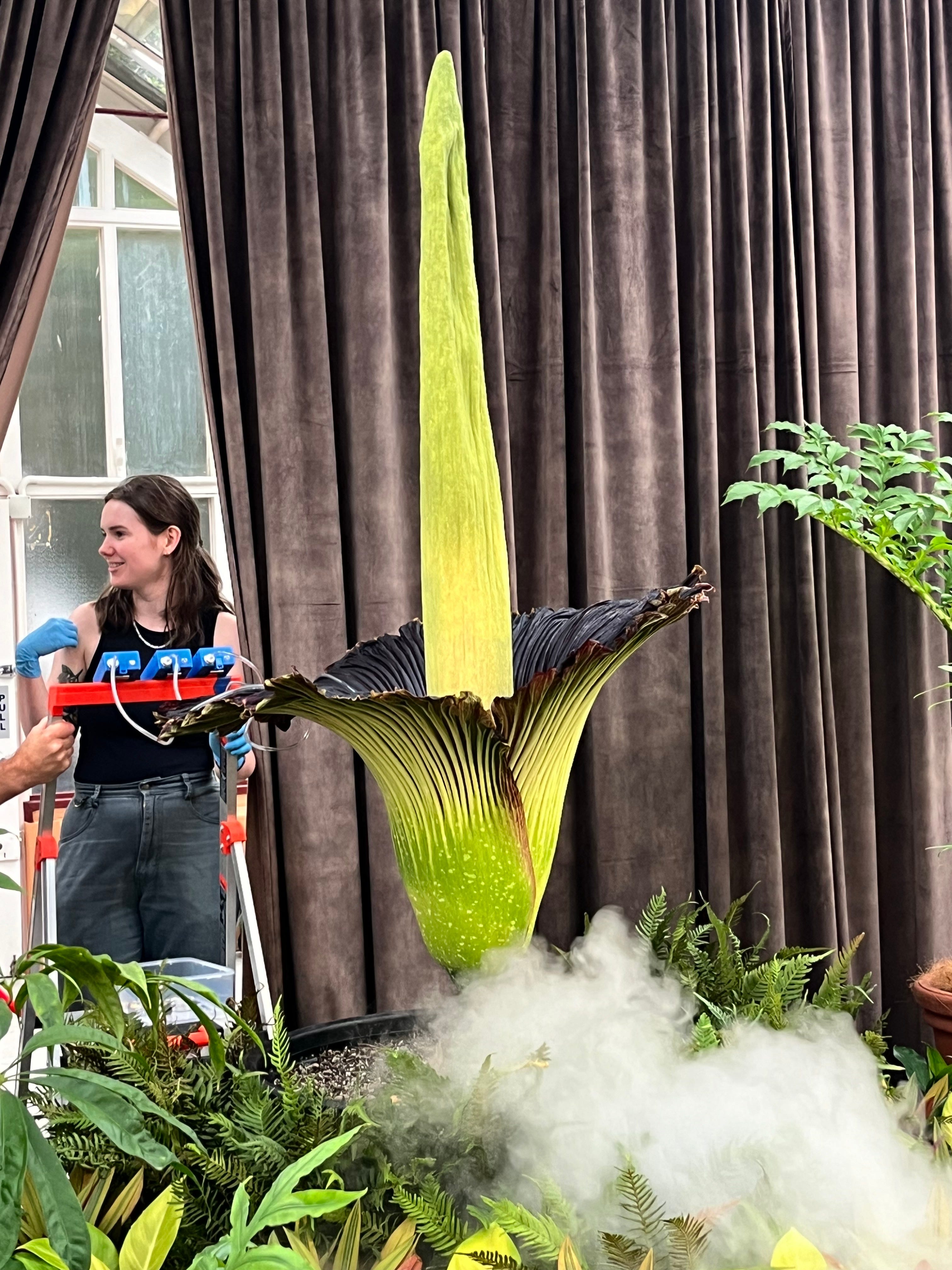 The people yearn for stink (and good news stories): notes on Putricia