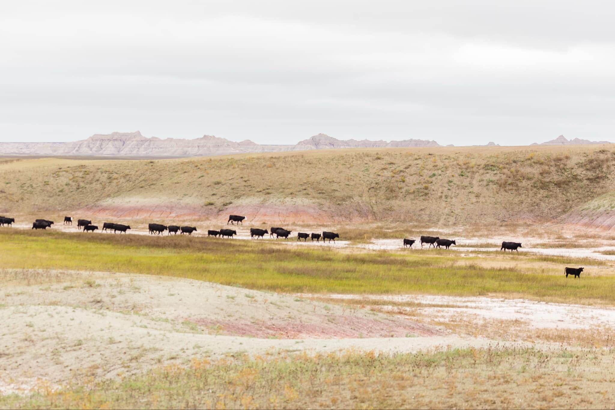 Range War: Indictments of South Dakota ranching couple over land ...