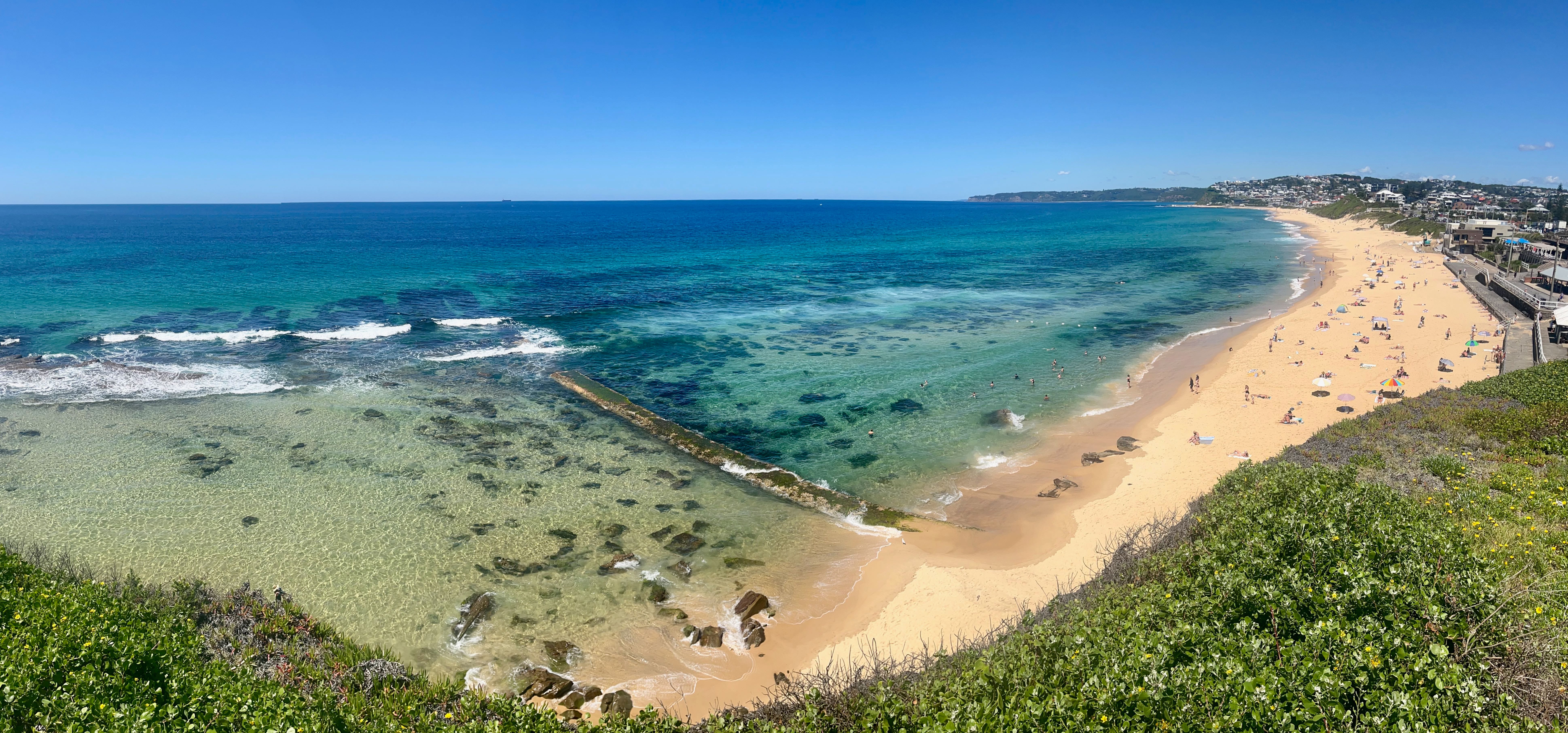 Catch! - by David Kirkby - Dave's Substack Poetry Shack